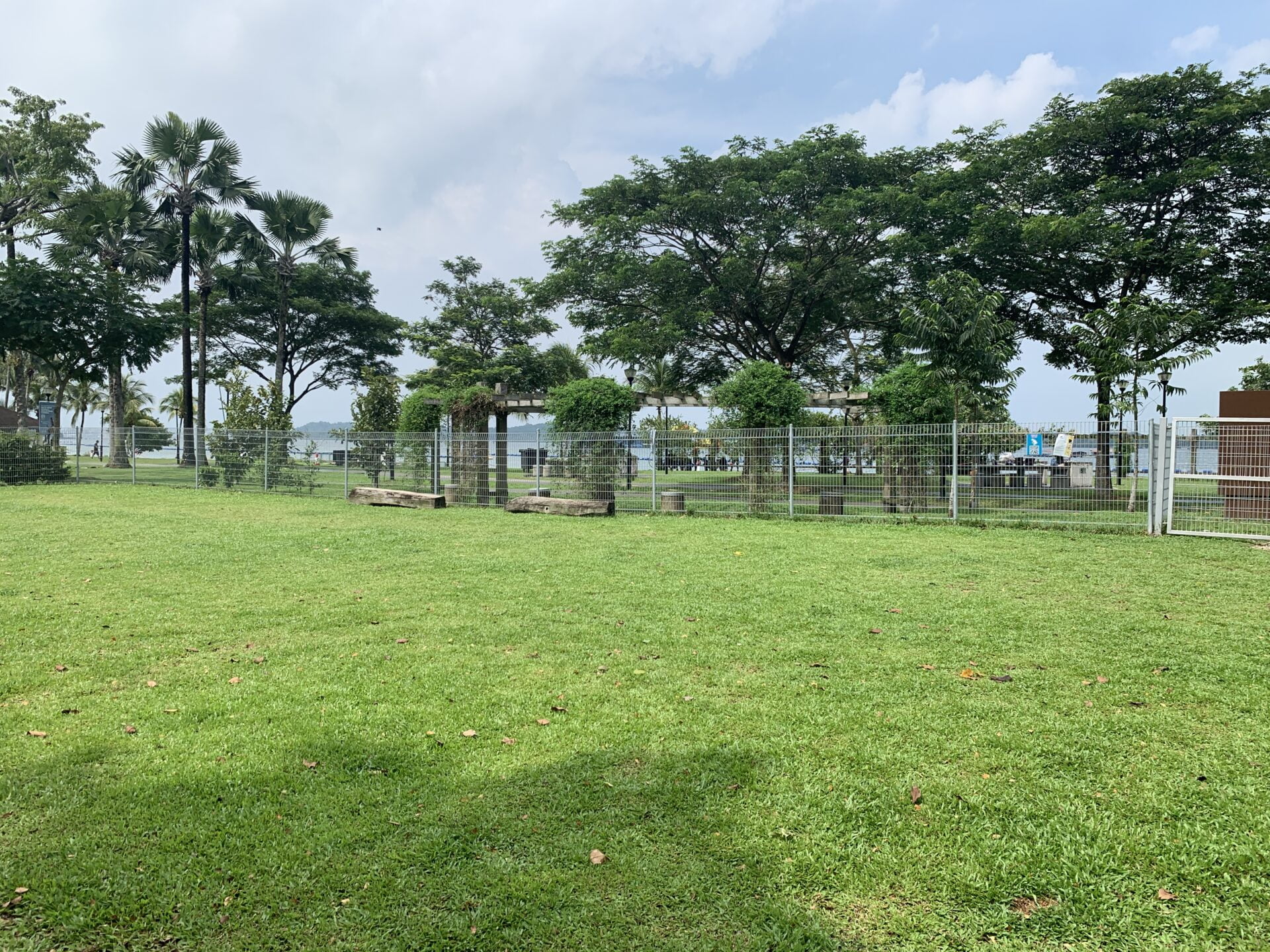 Pasir Ris Park Dog Run: A Great Spot for Dogs to Play and Socialize