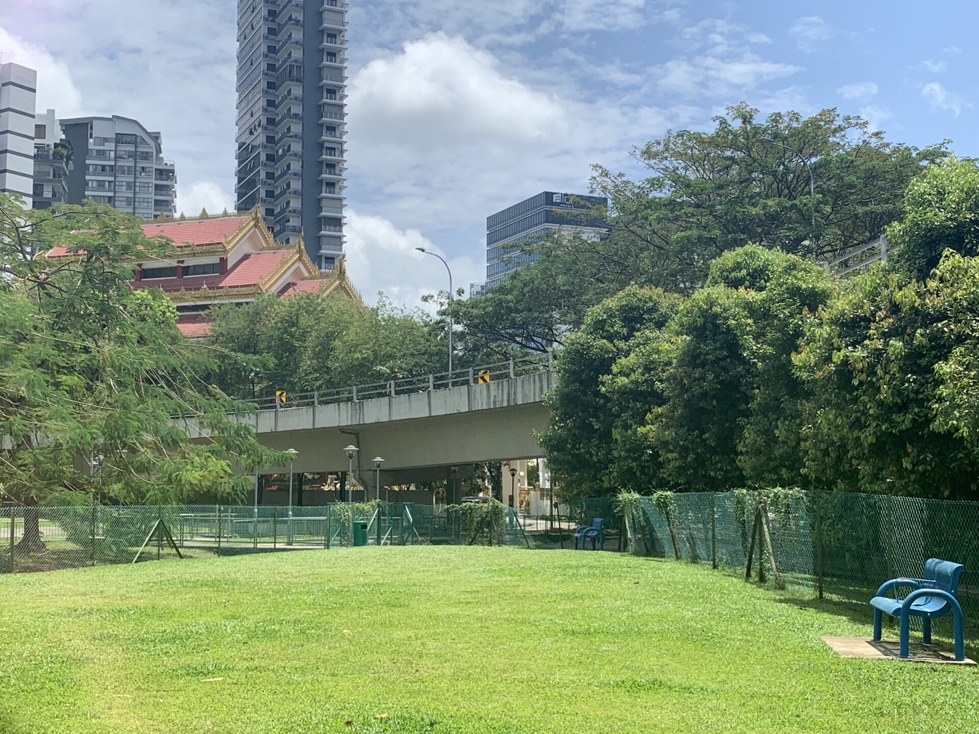 Our Space @ Tai Gin ( dog run ) | Pawsome Search SG