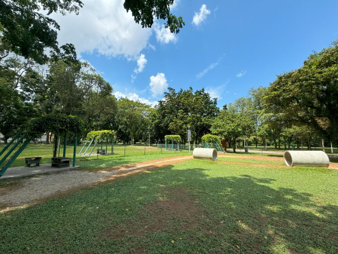 Bishan-Ang Mo Kio Park Dog Run: Spacious Dog-Friendly Park in Singapore